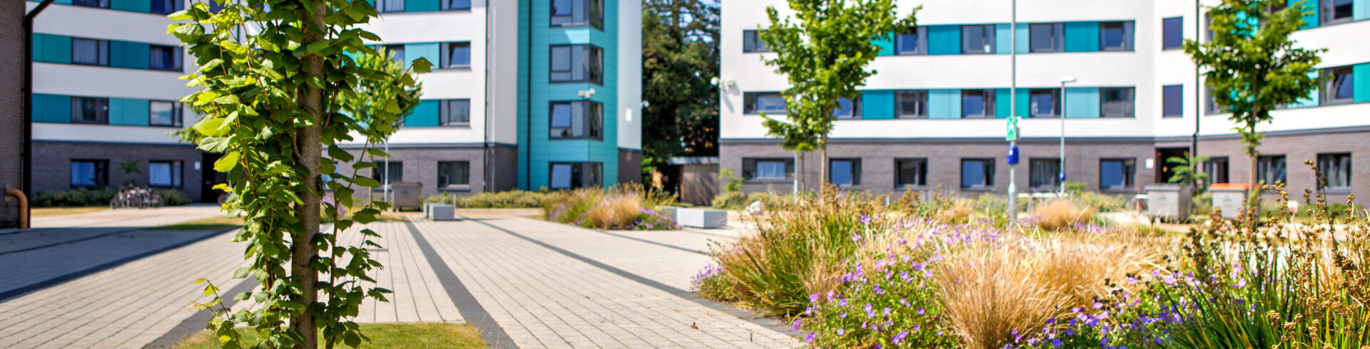 Accommodation University of Reading