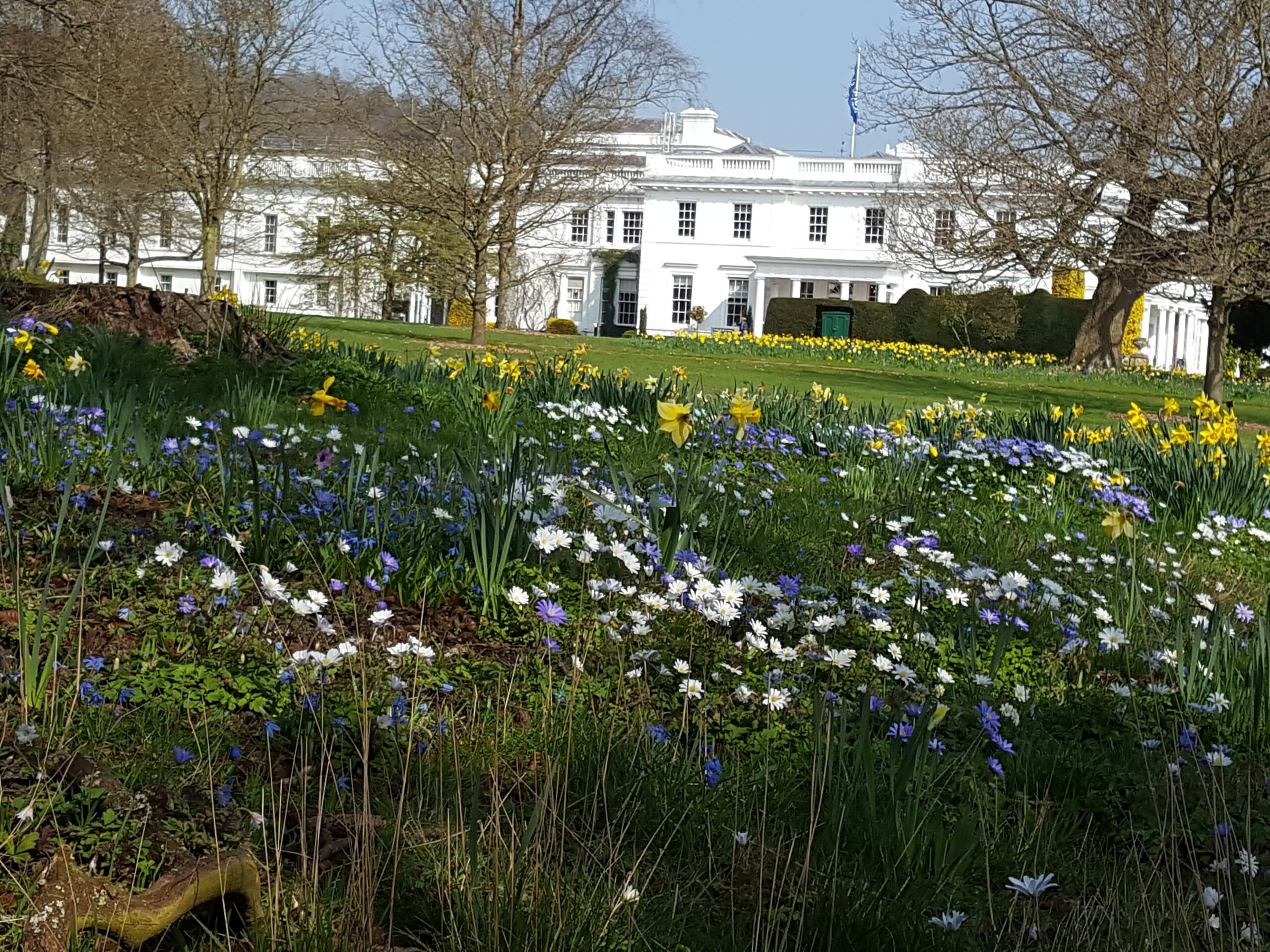 Spring – Hospitality